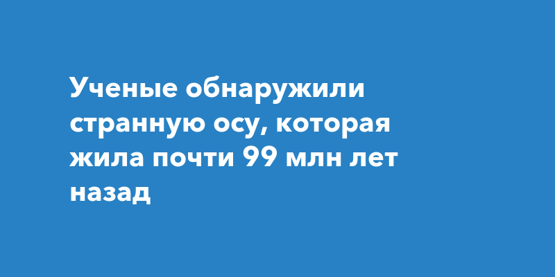 Ученые обнаружили странную осу, которая жила почти 99 млн лет назад